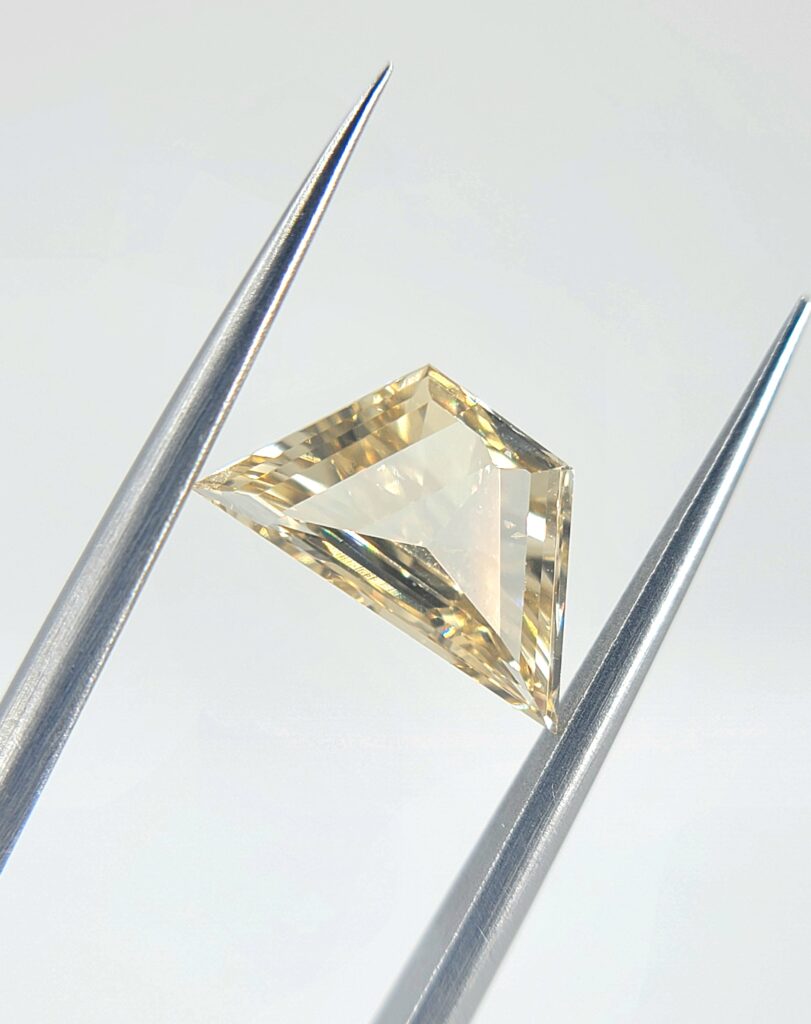 UNIQUE SHAPE DIAMOND - Terra Company
